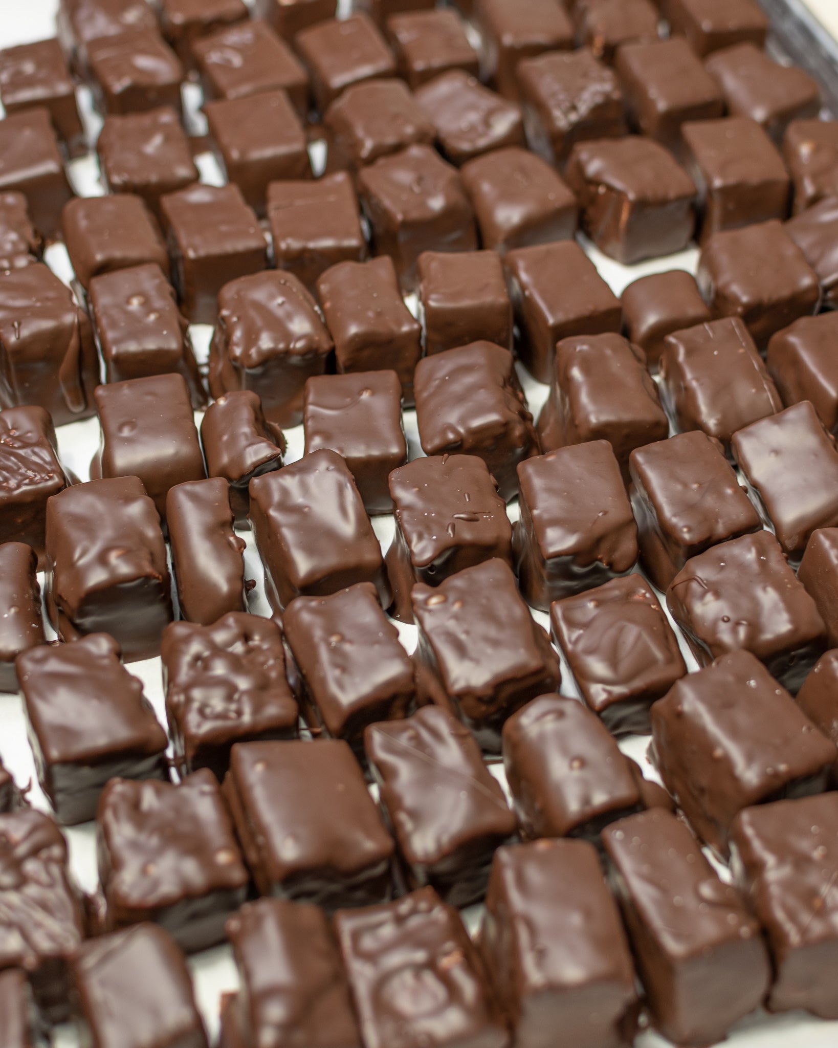 Chocolate Covered Marshmallows | Renee's Fine Chocolate